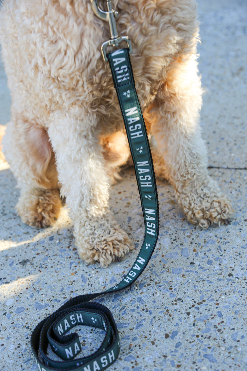 NASH Dog Leash [Olive] – The Nash Collection